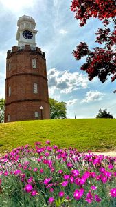 Demographics - Rome Floyd Chamber